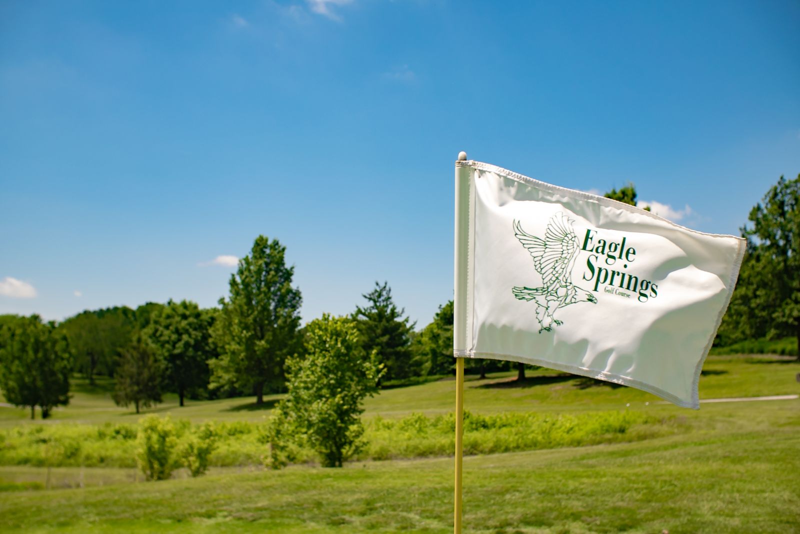 Home - Eagle Springs Golf Course